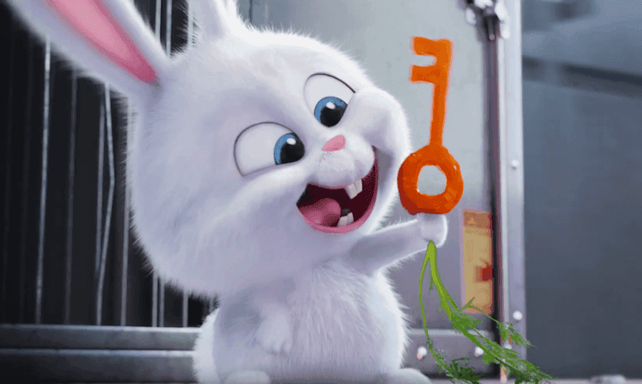 The secret life of pets - sự nổi dậy của thú cưng ? - BlogAnChoi