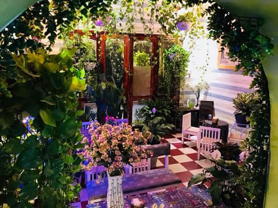 Tree cafe: Không gian xanh, thanh bình giữa lòng Hà Nội - BlogAnChoi