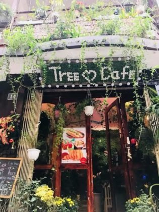Tree cafe: Không gian xanh, thanh bình giữa lòng Hà Nội - BlogAnChoi