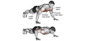 Tại sao phải hít đất và hít đất đúng cách như thế nào - BlogAnChoi