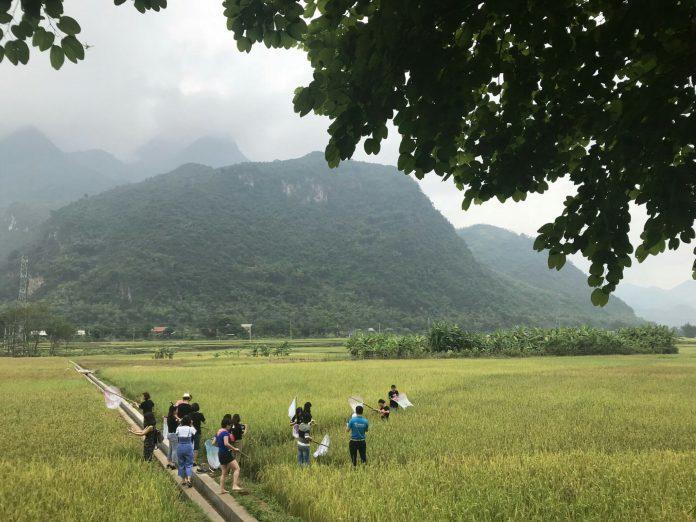 Sol Bungalows: Điểm nghỉ dưỡng tuyệt vời giữa núi rừng Mai Châu ...