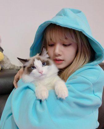 PETPINK: Những điều thú vị về gia đình mèo của Lisa (BLACKPINK) mà fan ...
