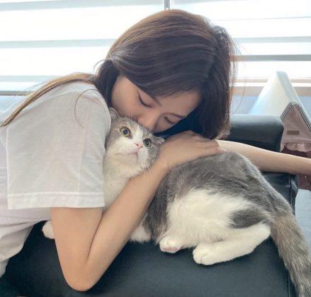 PETPINK: Những điều thú vị về gia đình mèo của Lisa (BLACKPINK) mà fan ...