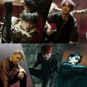 12 bài hát KPOP hay, ấn tượng lấy cảm hứng từ động vật hoang dã ...