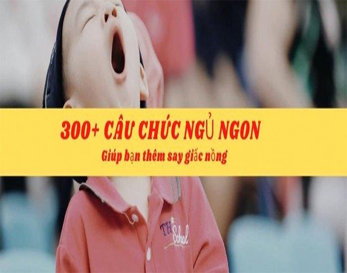300+ lời chúc ngủ ngon hay, ý nghĩa, giúp bạn thêm say giấc - BlogAnChoi