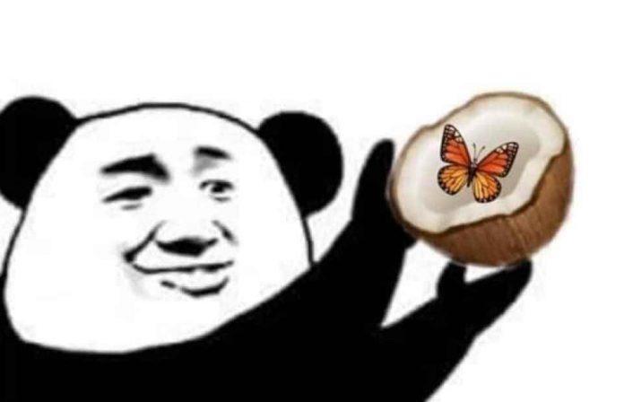 Meme là gì? 300+ meme hài, chất nhất quả đất để bạn comment dạo thả ga ...