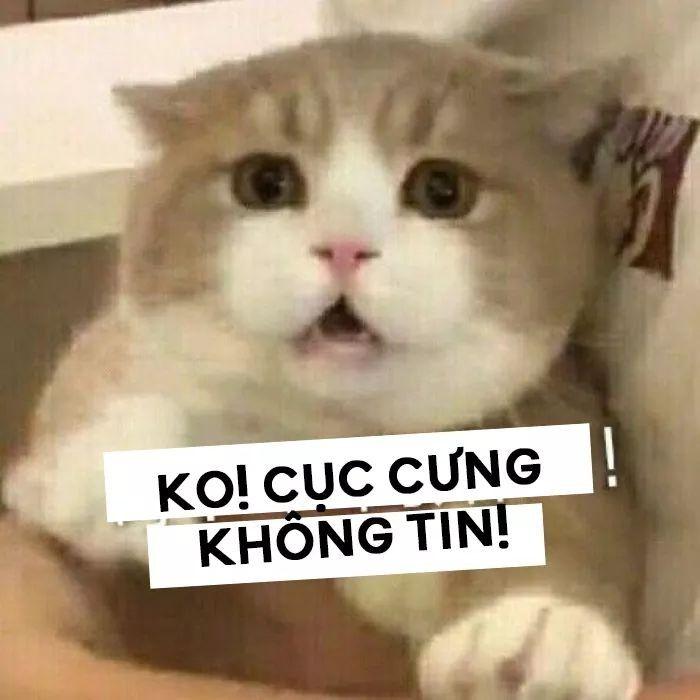 Meme là gì? 300+ meme hài, chất nhất quả đất để bạn comment dạo thả ga ...