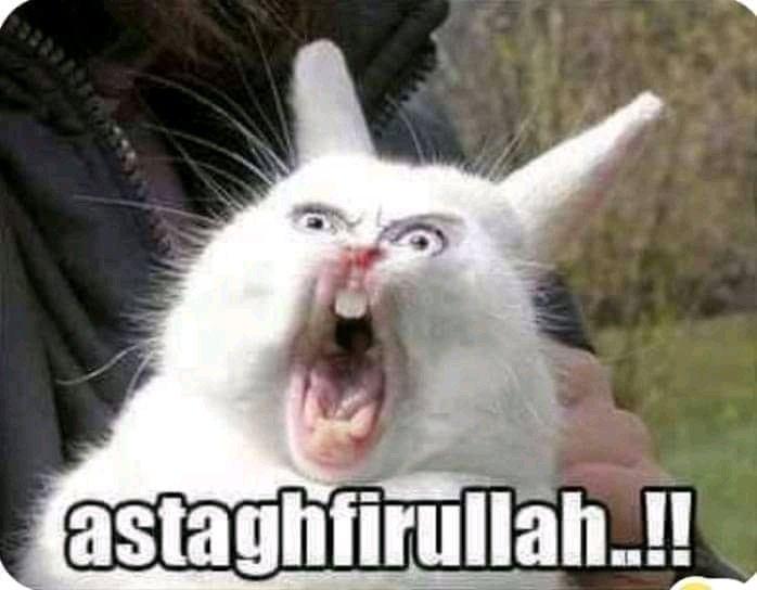 Meme là gì? 300+ meme hài, chất nhất quả đất để bạn comment dạo thả ga ...