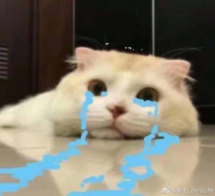 Meme là gì? 300+ meme hài, chất nhất quả đất để bạn comment dạo thả ga ...