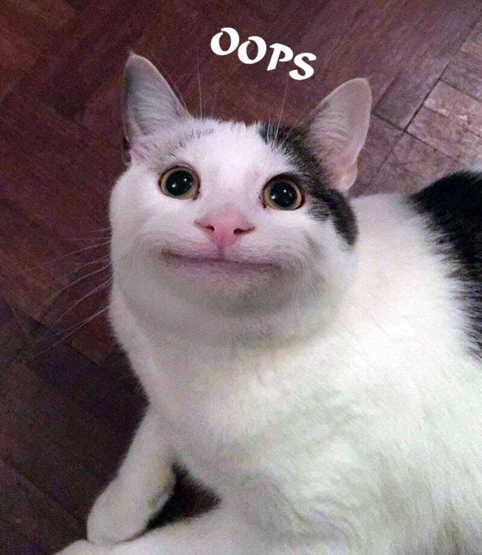 Meme là gì? 300+ meme hài, chất nhất quả đất để bạn comment dạo thả ga ...