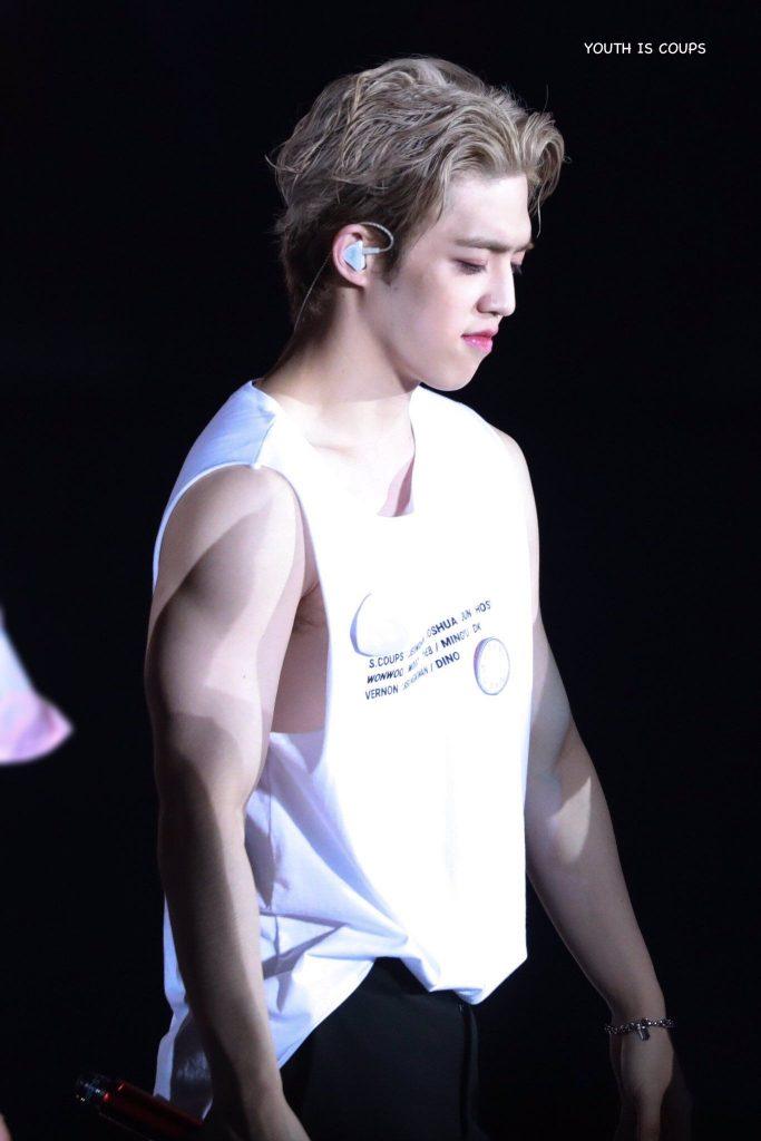 Hồ sơ S. COUPS - SEVENTEEN S. COUPS Profile - BlogAnChoi