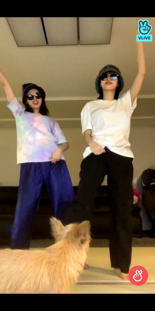 Khi KPOP đang say giấc, Momo và Sana (TWICE) livestream quẩy xuyên màn ...
