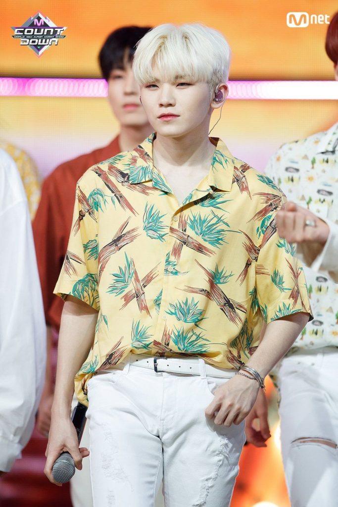 Hồ sơ Woozi - SEVENTEEN Woozi Profile - BlogAnChoi