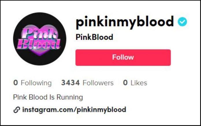 7749 giả thuyết về PinkBlood của SM: Nhóm nhỏ của SNSD hay group tân ...