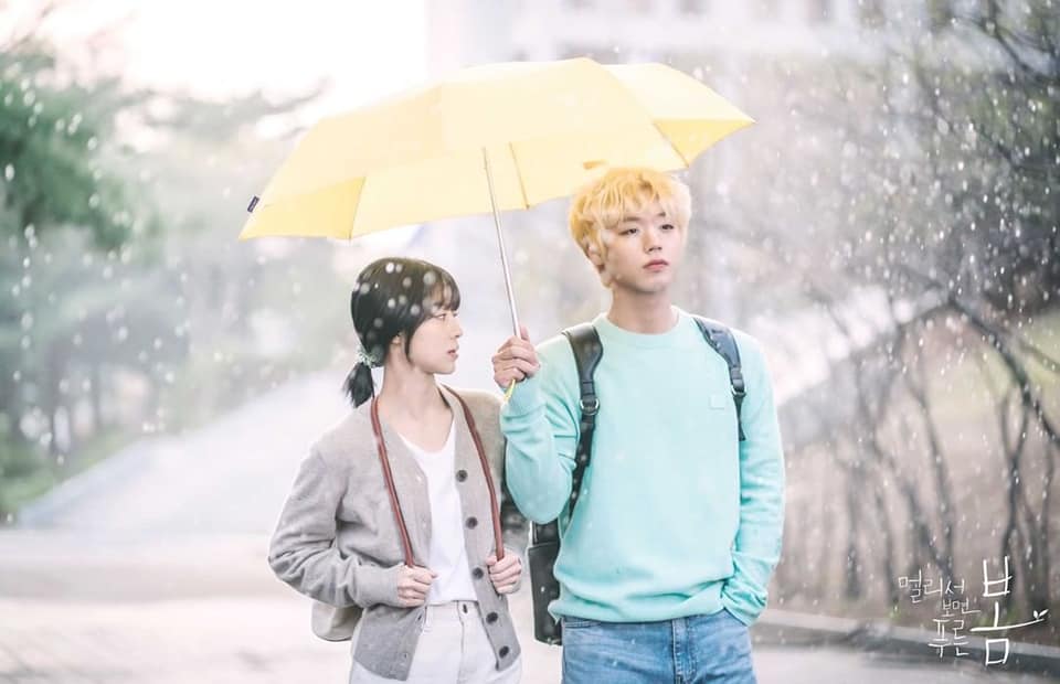 Review Blue Spring From A Distance: Siêu phẩm thanh xuân vườn trường ...