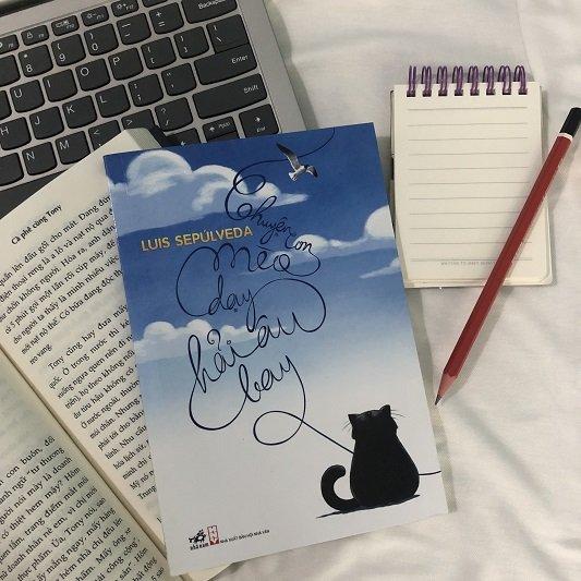 Review sách Chuyện con mèo dạy hải âu bay: Cuốn sách không chỉ dành cho ...