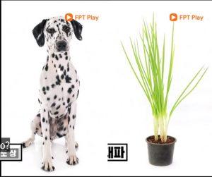 Sau khi thánh nhọ Lee Kwang Soo rời Running Man, “nữ thần may mắn” Song ...