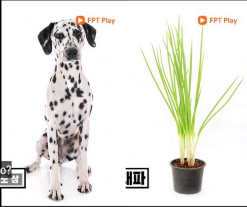 Sau khi thánh nhọ Lee Kwang Soo rời Running Man, “nữ thần may mắn” Song ...