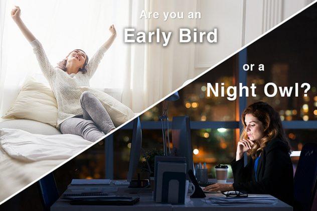 Chim sớm và cú đêm: Cơ thể bạn thuộc kiểu nào và điểm khác nhau là gì ...