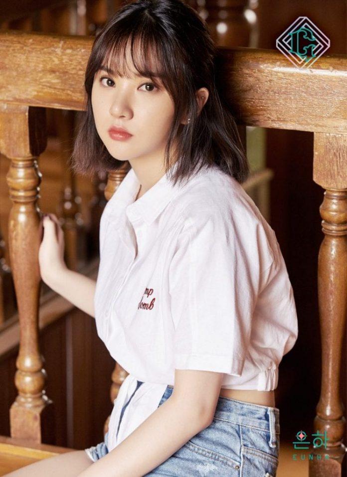 11 nghệ sĩ Hàn Quốc có tên Instagram đặc biệt và ý nghĩa - BlogAnChoi