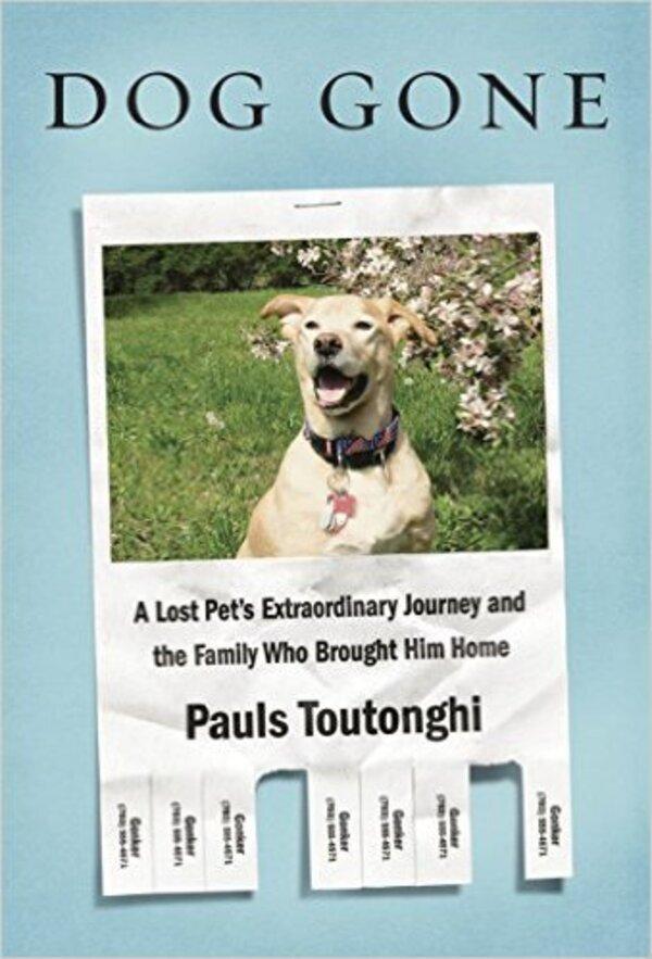 Dog Gone: Câu chuyện có thật đằng sau bộ phim mới nhất của Netflix sẽ ...