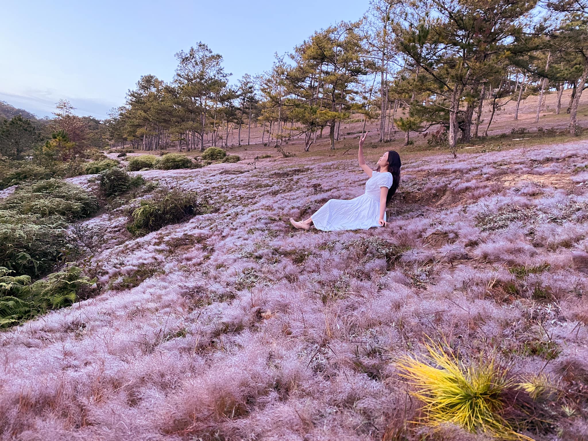 12 mùa hoa Đà Lạt đẹp nhất để bạn lên lịch thưởng thức, check-in phù ...