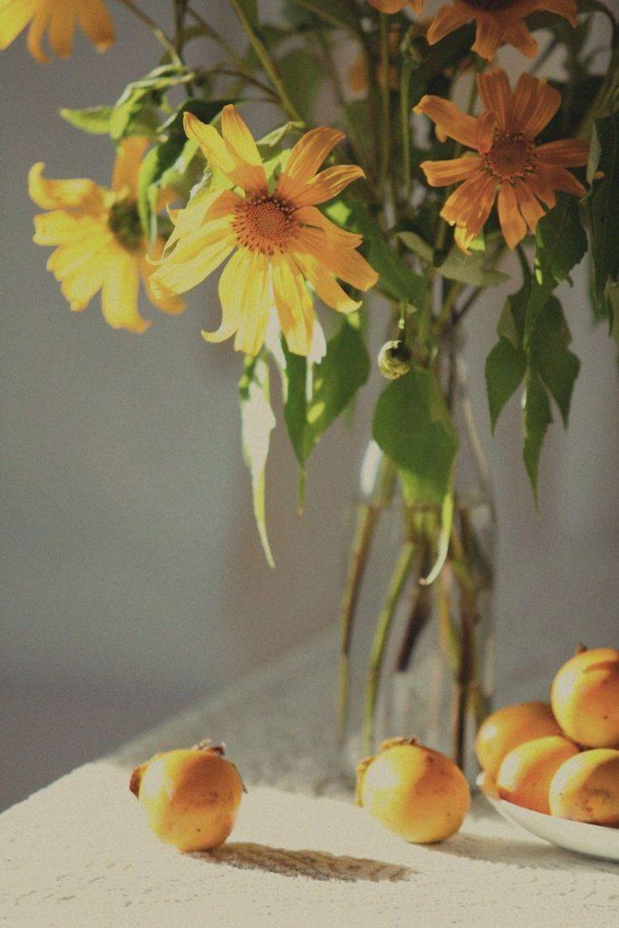 500+ câu nói hay về mùa thu, thơ mùa thu dịu dàng, stt thả thính mùa ...