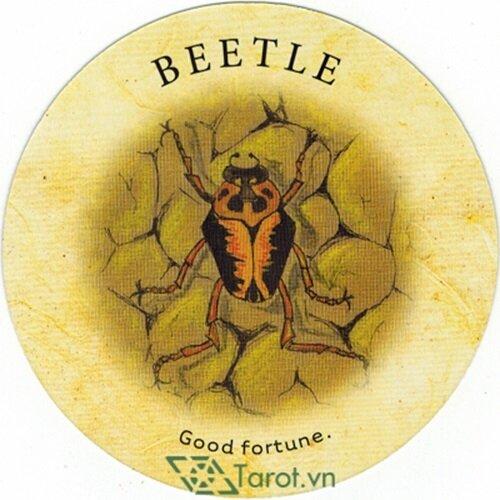 Tea Leaf Fortune Cards: Ý nghĩa các lá bài trà - BlogAnChoi