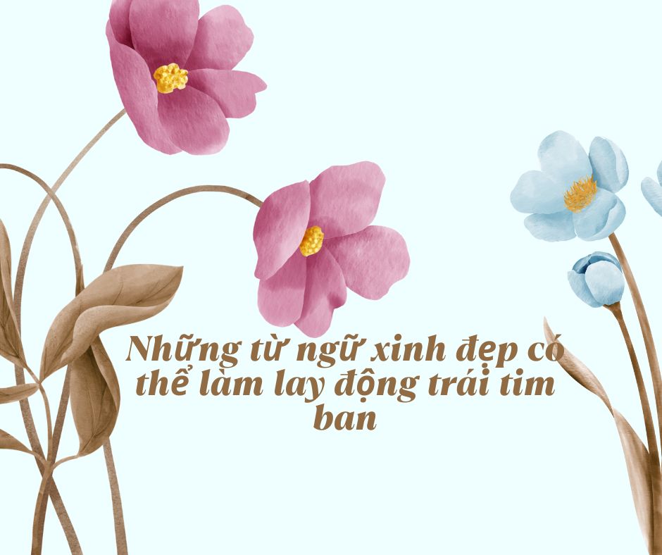 Những từ ngữ xinh đẹp có thể làm lay động trái tim bạn - BlogAnChoi